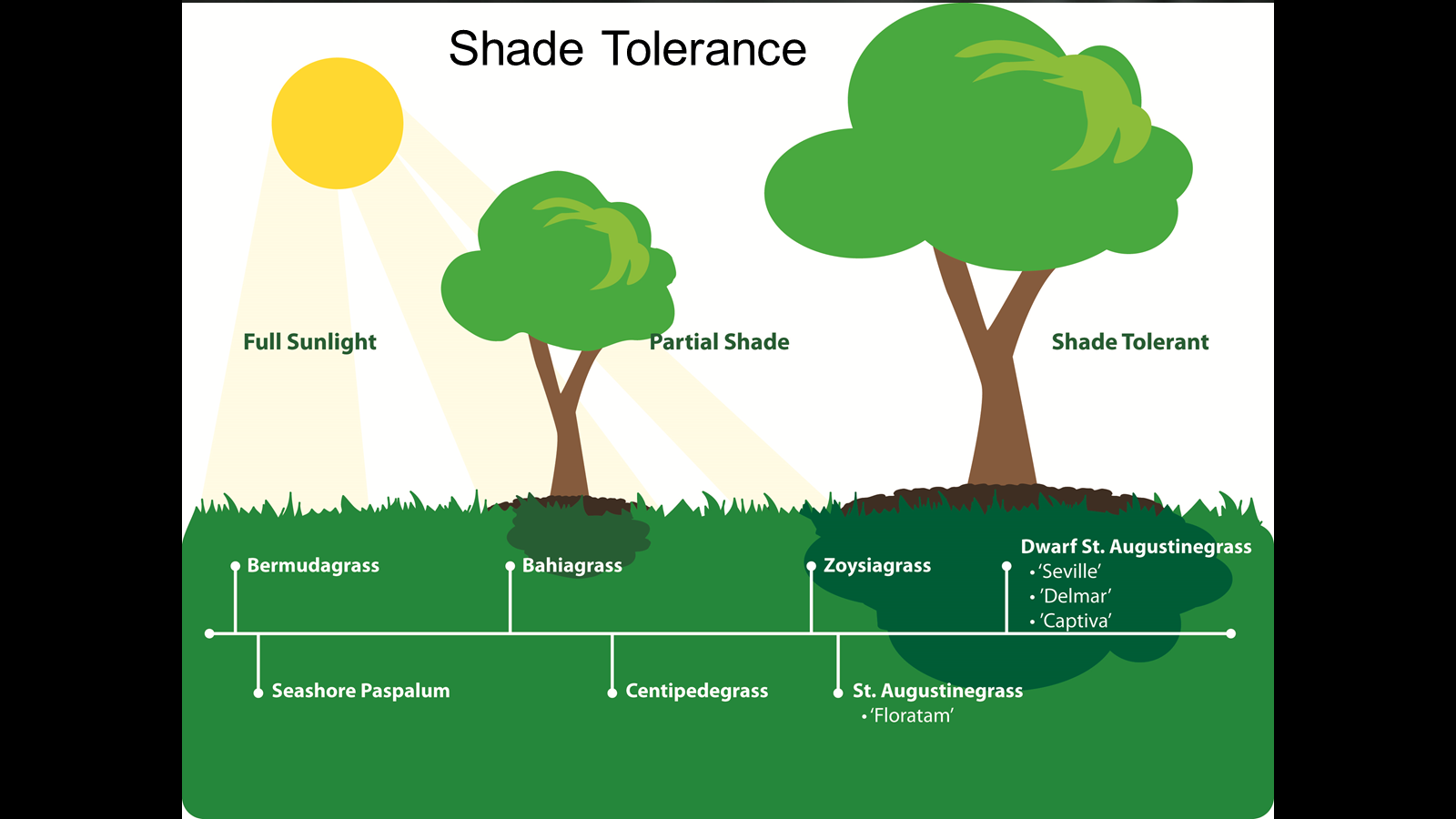 Lawncare in spring Mobile Alabama